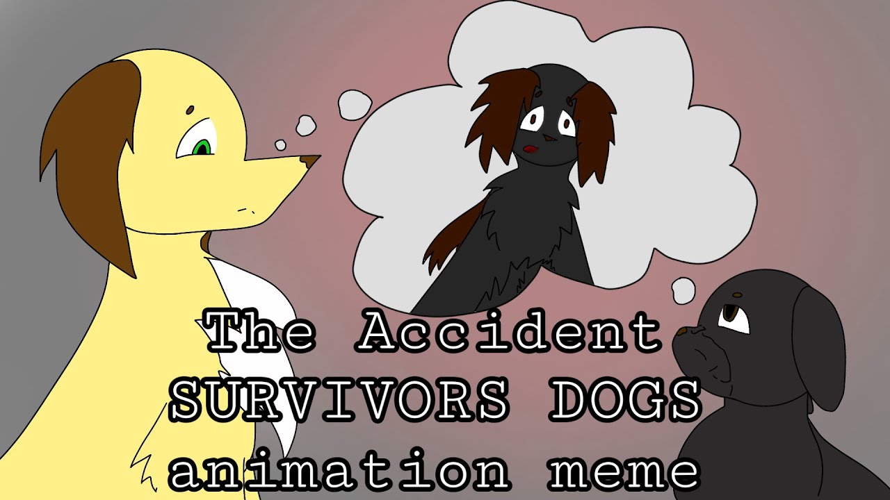 The Accident|SURVIVORS DOGS animation meme - YouTube