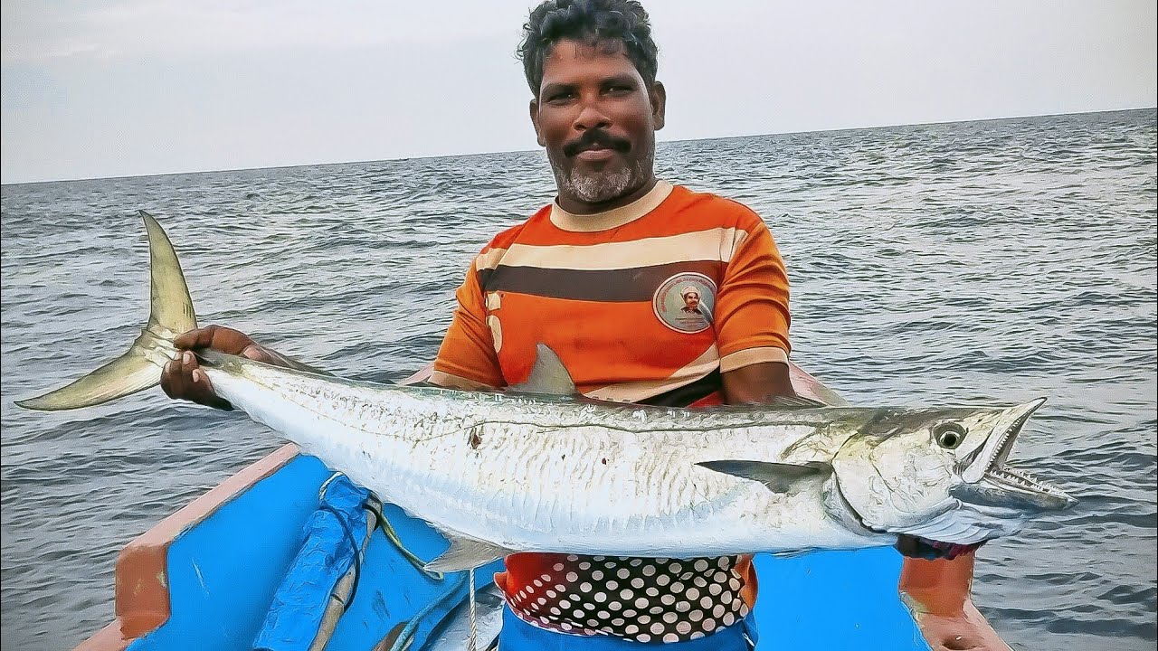 Massive (KING FISH) Catching In Offshore Deep Sea // Amazing King ...