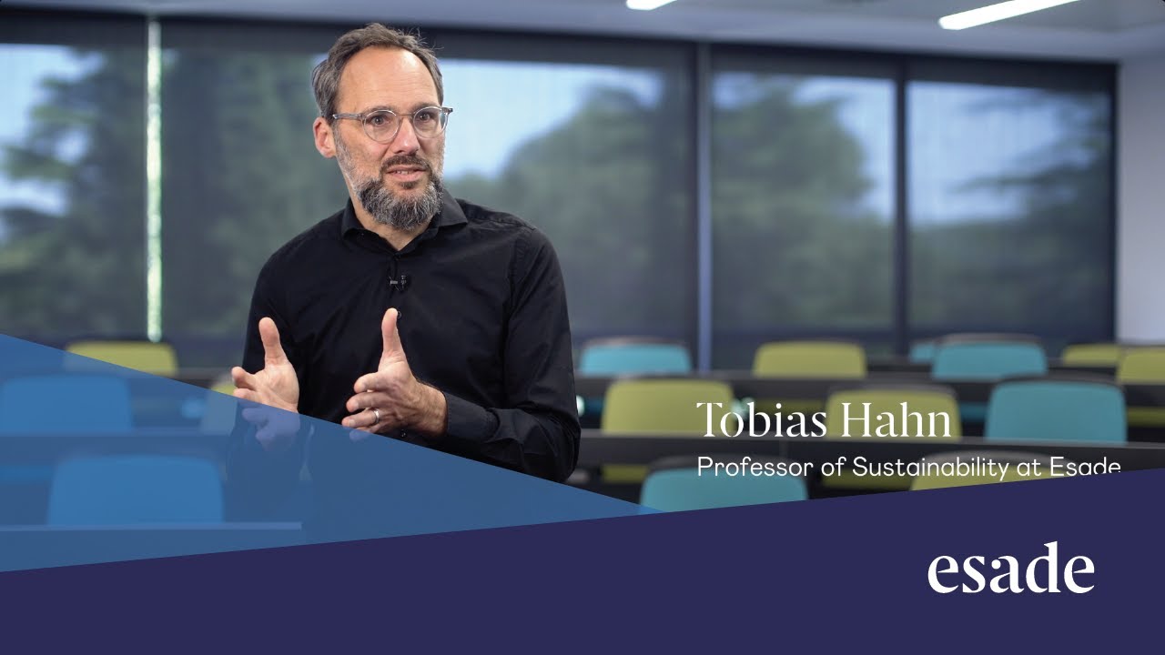 Developing skills for business sustainability with Tobias Hahn - YouTube