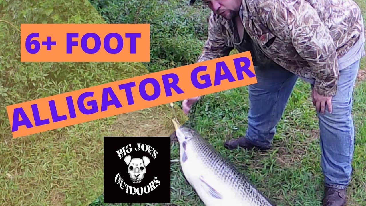 6 FOOT ALLIGATOR GAR (catch clean cook) - YouTube