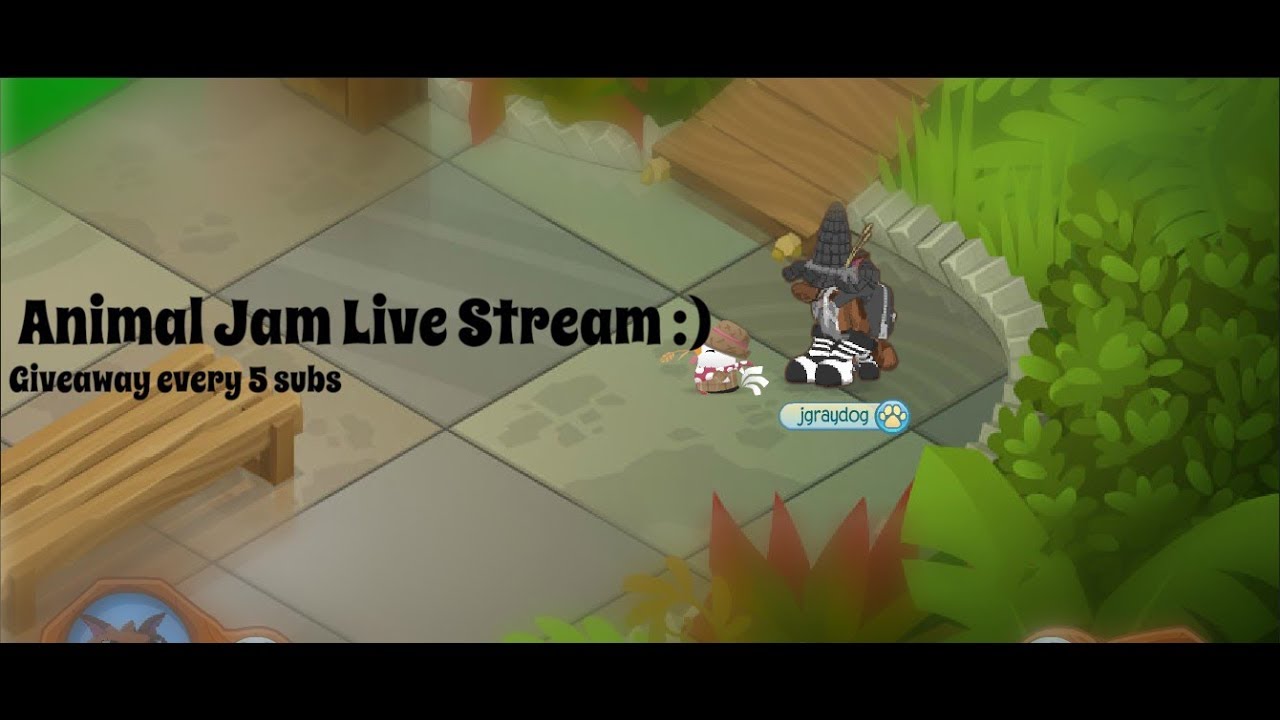 ANIMAL JAM LIVE STREAM (13+) - YouTube