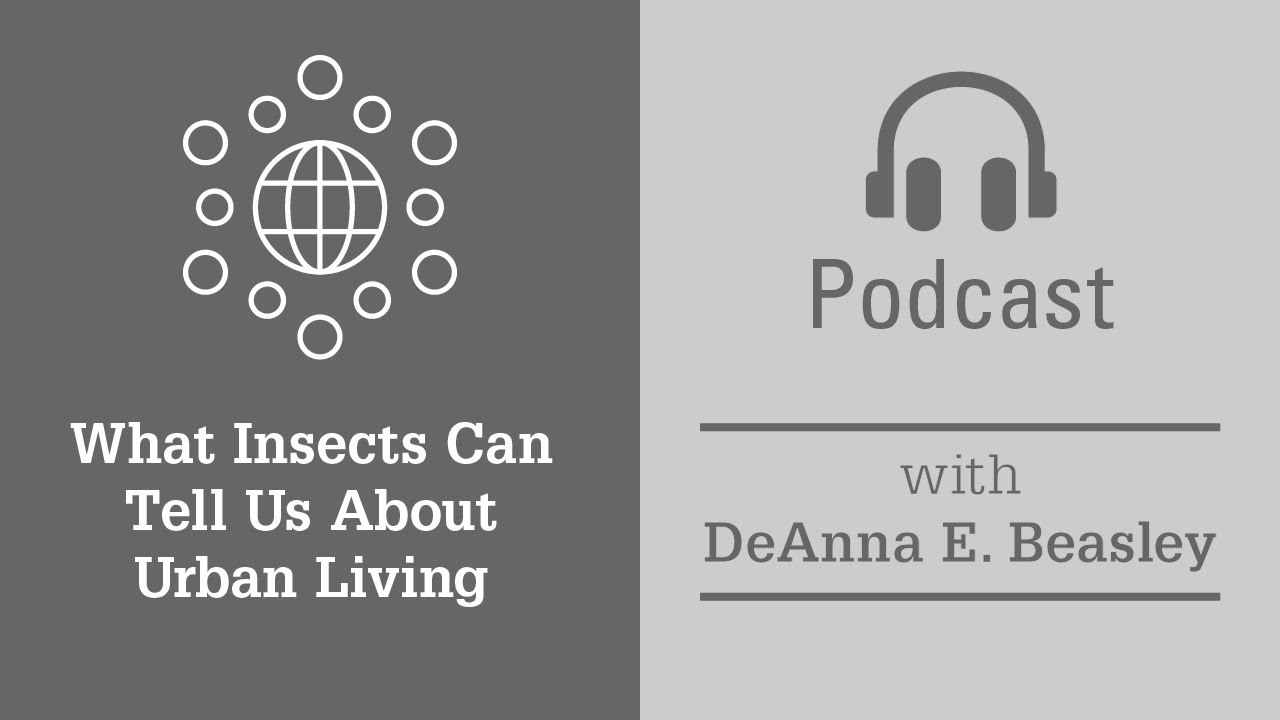 What Insects Can Tell Us About Urban Living (DeAnna E. Beasley, Ph.D ...