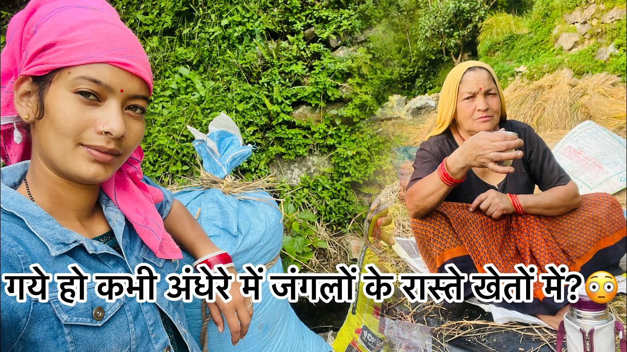 क्यों जाना पड़ा??आज हमें सुबह 4बजे😱 खेतों मैं😰|Pahadi lifestyle vlog|reena rawat|🔥 - YouTube