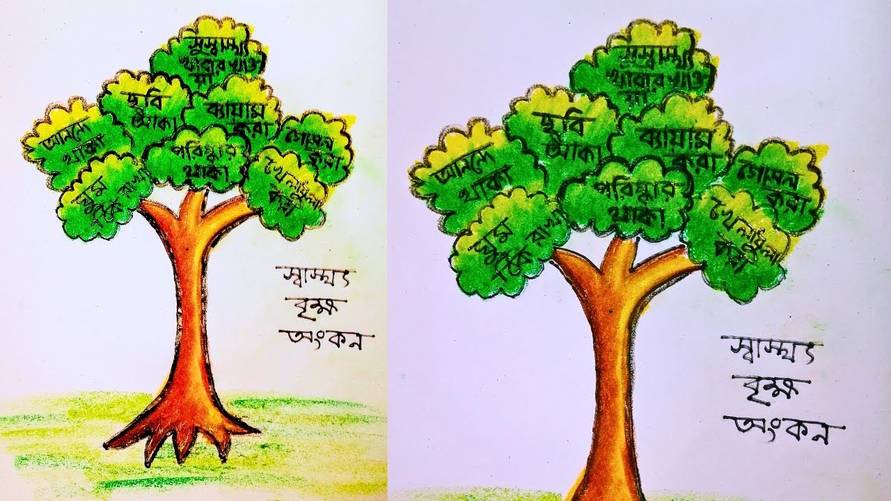 স্বাস্থ্য বৃক্ষ অংকন/ Shastho shurokkha class 6 project/ How to draw ...