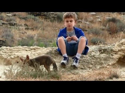 Biodiversity of Cyprus by NGO Protection of the Natural Heritage and ...