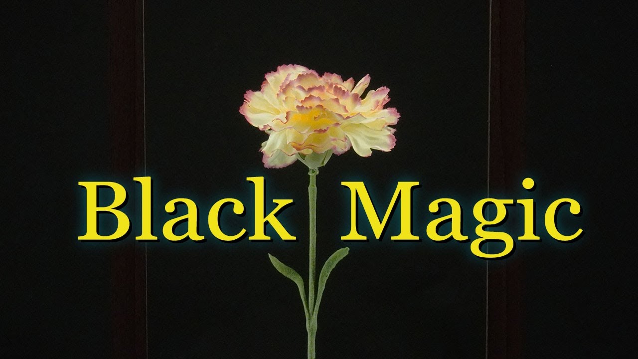 Black Magic (aka "Slow Dance") - YouTube