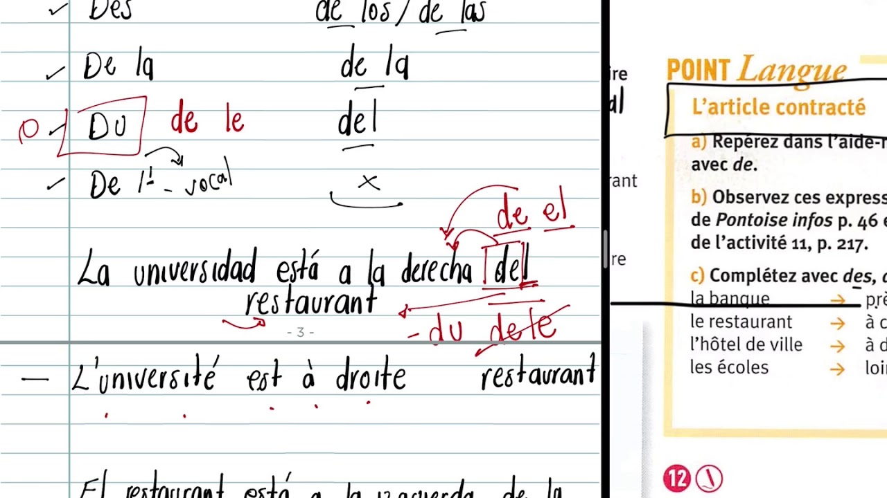 Articulo contracto (Frances, Lenguas) - YouTube