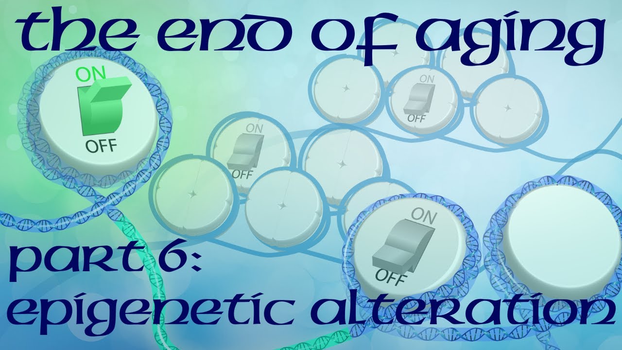 The End Of Aging: Part 6 - Epigenetic Alteration - YouTube