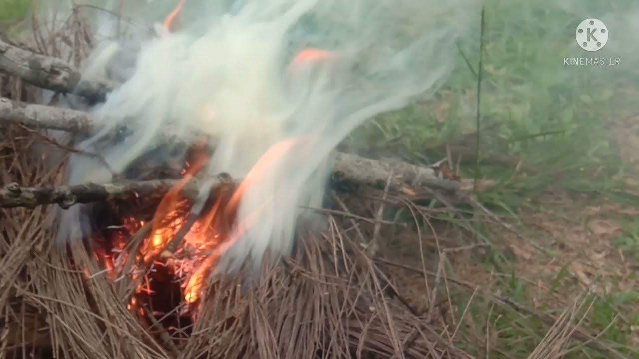 Burning chicken in the deep forest is another experience - YouTube