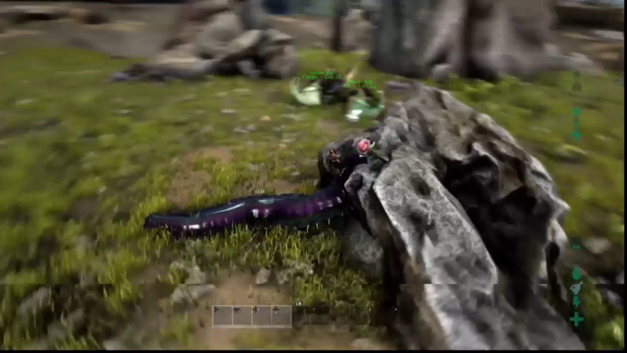 Ark Survival Evolved Bugs!!!! - YouTube