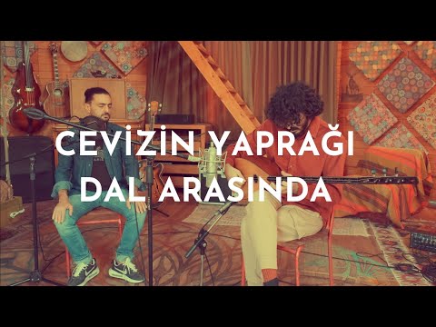 Taylan Özgür Ölmez & Muhlis Berberoğlu - Cevizin Yaprağı Dal Arasında I 2023 Canlı Kayıt