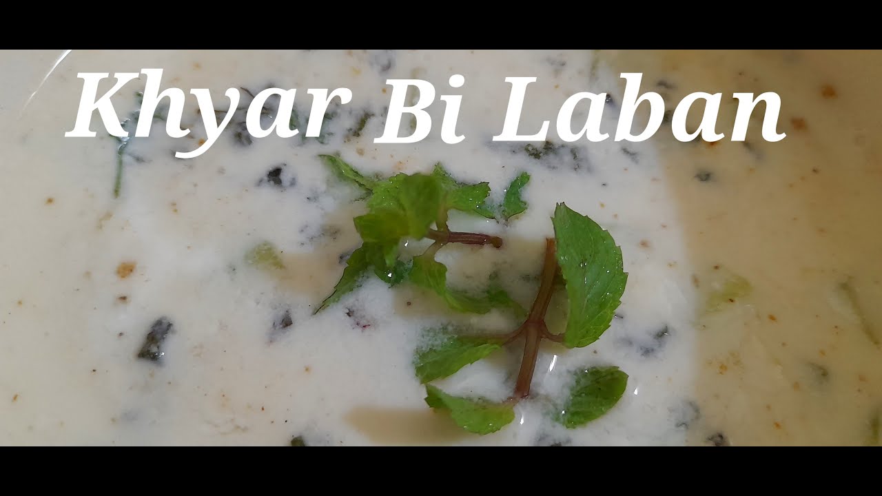 How To Make Homemade Lebanese Cucumber Yogurt Salad ( Khyar Bi Laban ...