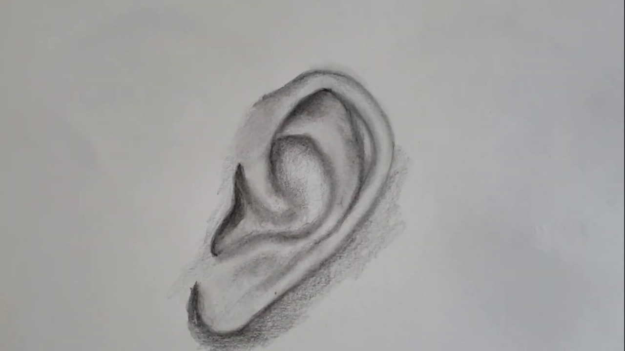 How to draw ear for beginners- Realistic ear tutorial easy step by step ...