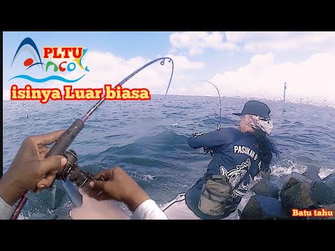 Banyak banget ‼️ info spot mancing gratis || pltu batu tahu Ancol || spot mancing pingiran ...