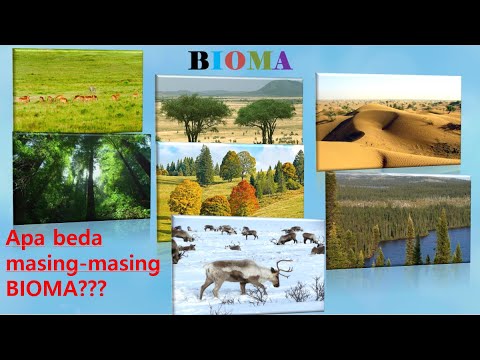 Jenis Bioma Dunia - Materi Geografi kelas 11 - YouTube