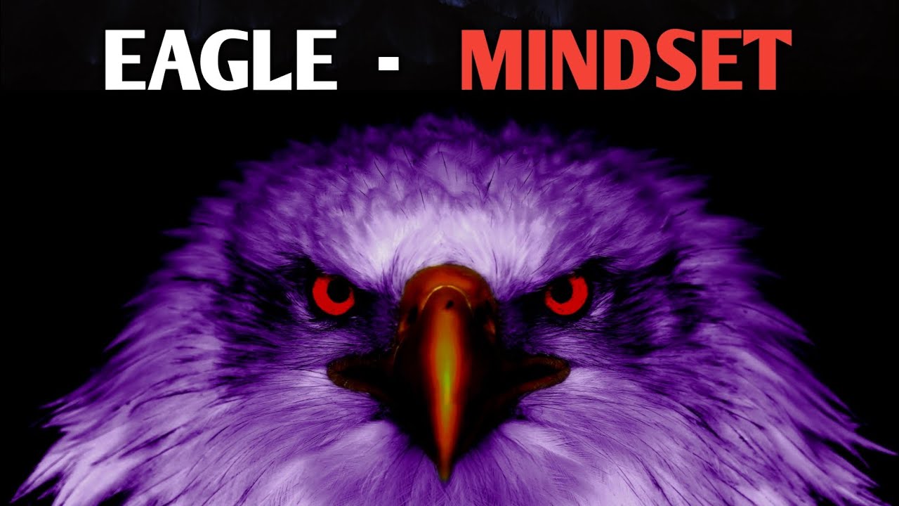 Eagle Ke 5 Anokhe Facts 🔥Jo Aap Nahi Jaante | Amazing Eagle Video - YouTube