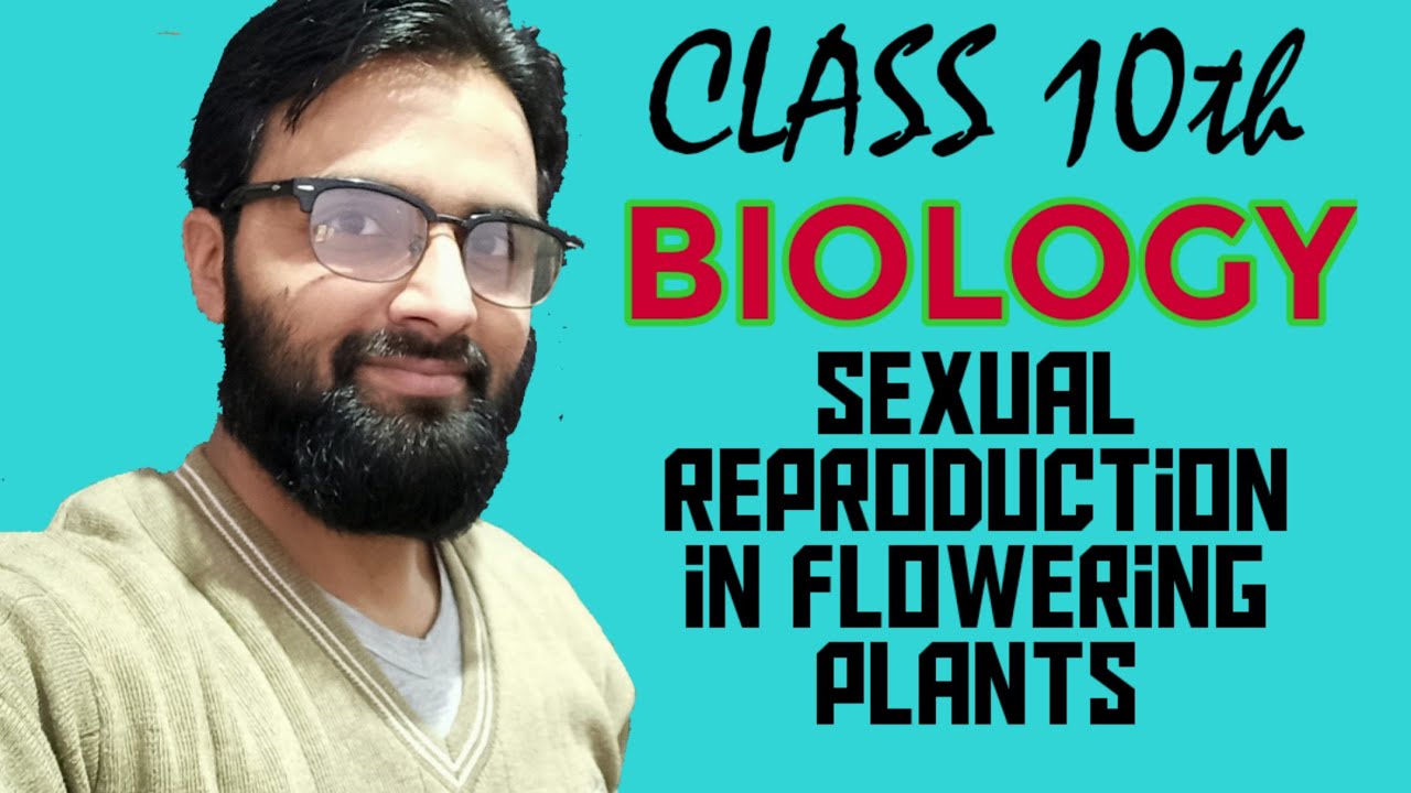CLASS.10TH/SEXUAL REPRODUCTION IN FLOWERING PLANTS/BIOLOGY - YouTube