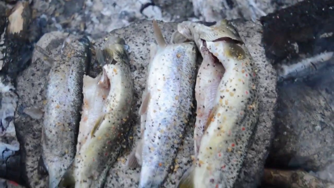 Hiking and Fishing Trinity Alps Wilderness day 2: Journey to L lake and ...