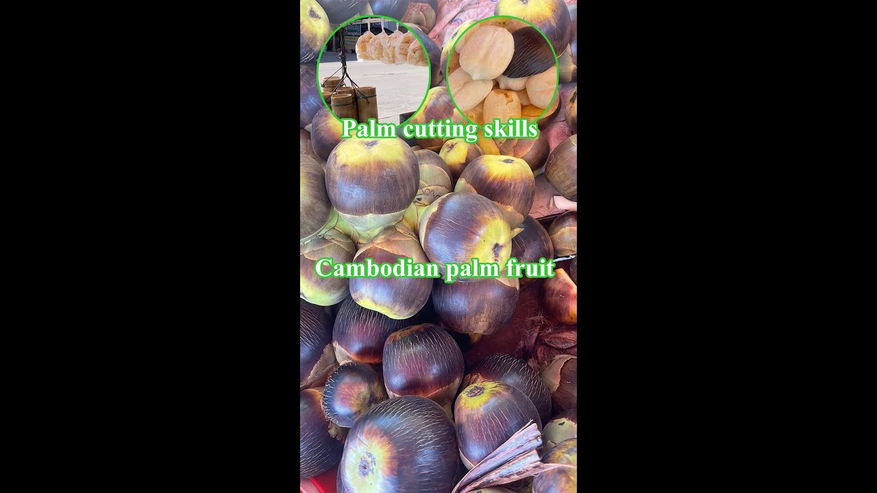 Palm cutting skill, Cambodian palm fruit - YouTube