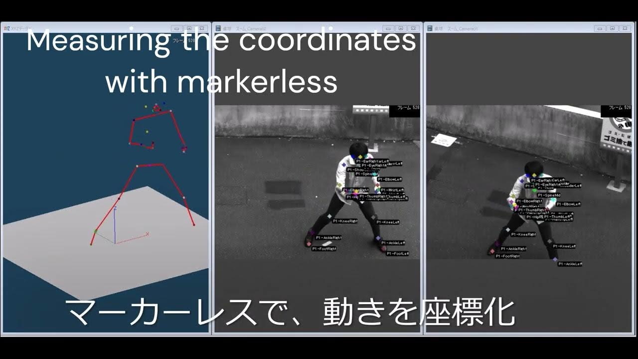【DITECT Analysis Software】Markerless motion capture - YouTube