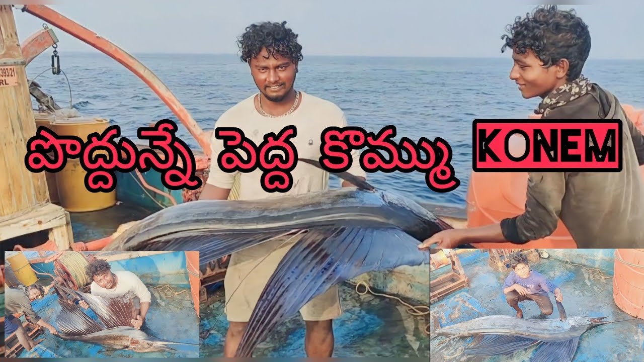 podhunne pedha fish#alluarjun #travel #trending #boat #fishing #vlog # ...