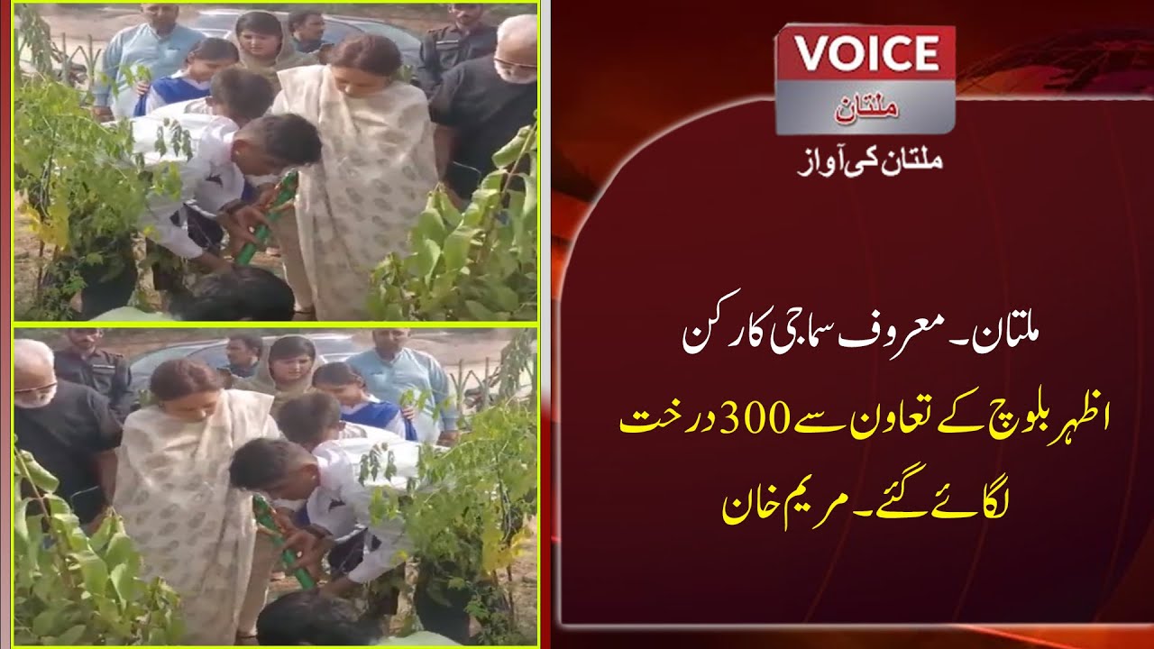 300 Trees Were Planted With Support Prominent Social Activist Azhar ...