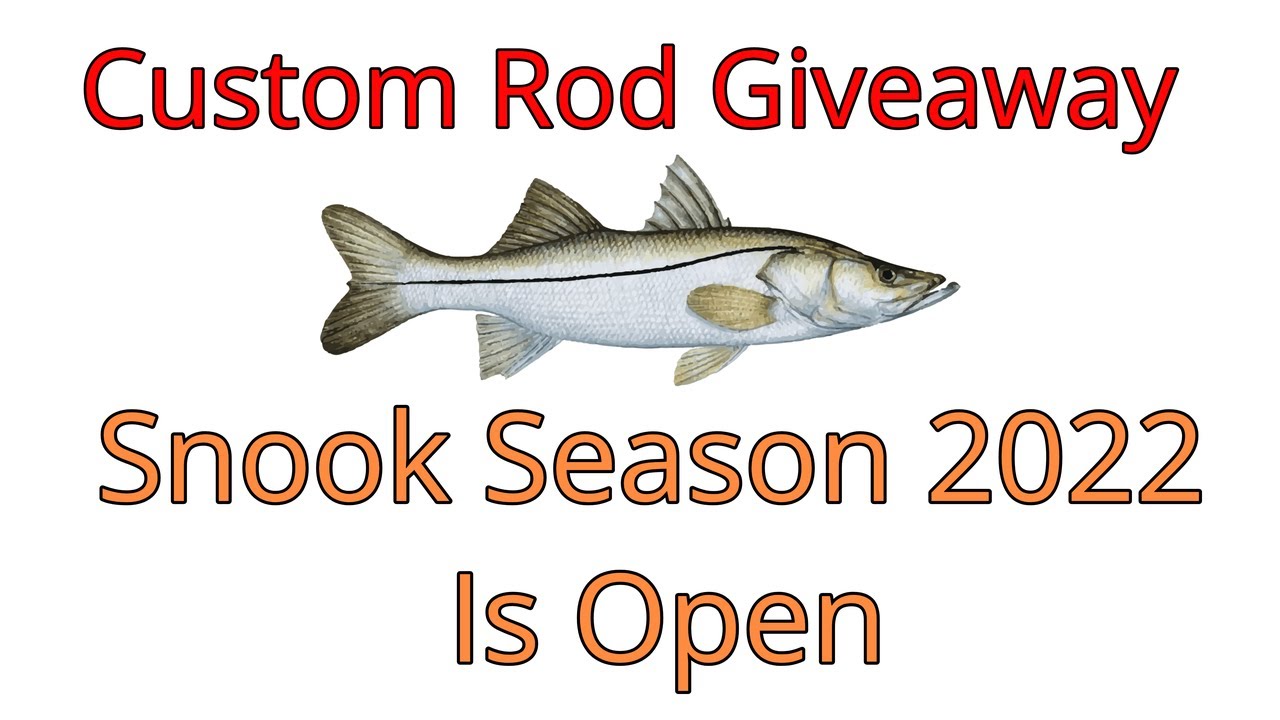 Snook Season What Are They Hitting On 2022 - YouTube
