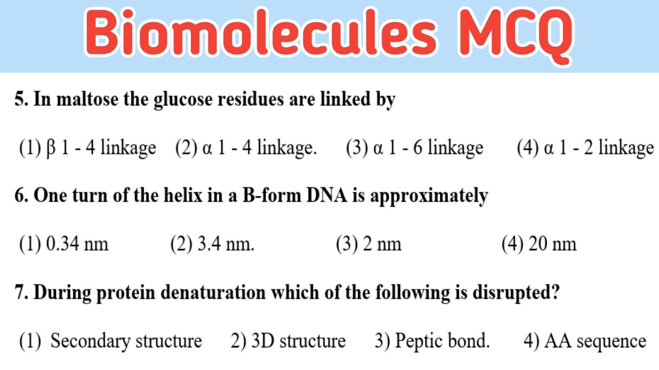 Biomolecules MCQ For Competitive Exams | Biology MCQ 2024 | PPSC FPSC ...