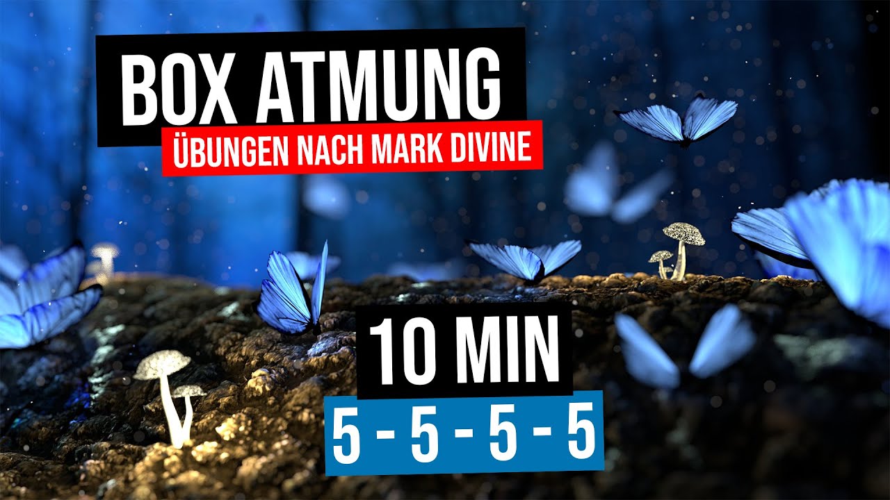 Atem-Meditation Box-Atmung (NavySeal Box Breathing) Ängste u. Stress ...
