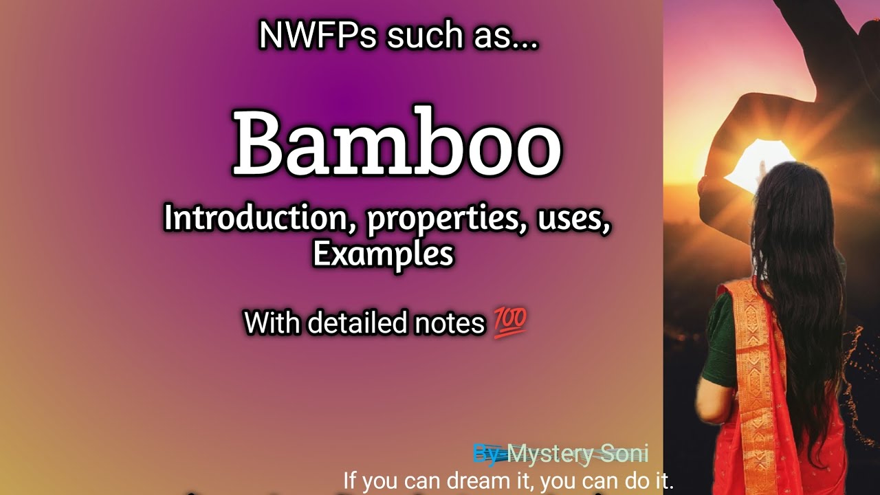 Botany of bamboo | green gold | Introduction | Properties | Uses ...
