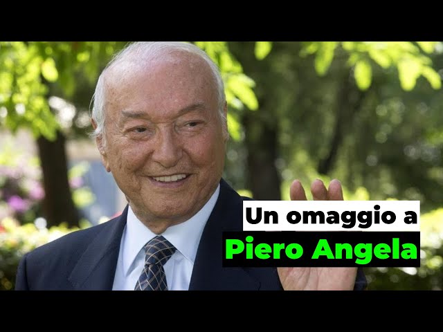 Angela Sui's Instagram, Twitter & Facebook on IDCrawl