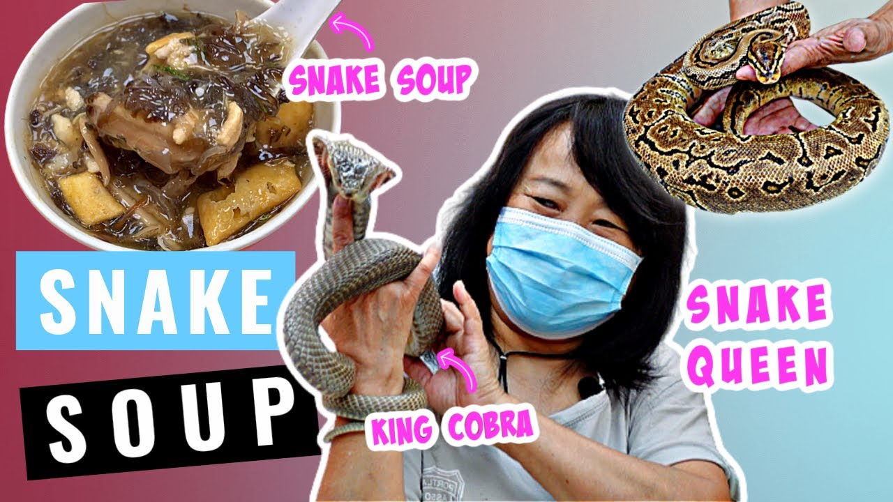 You can eat SNAKE?! Making SNAKE SOUP | Meet Hong Kong’s ONLY FEMALE ...