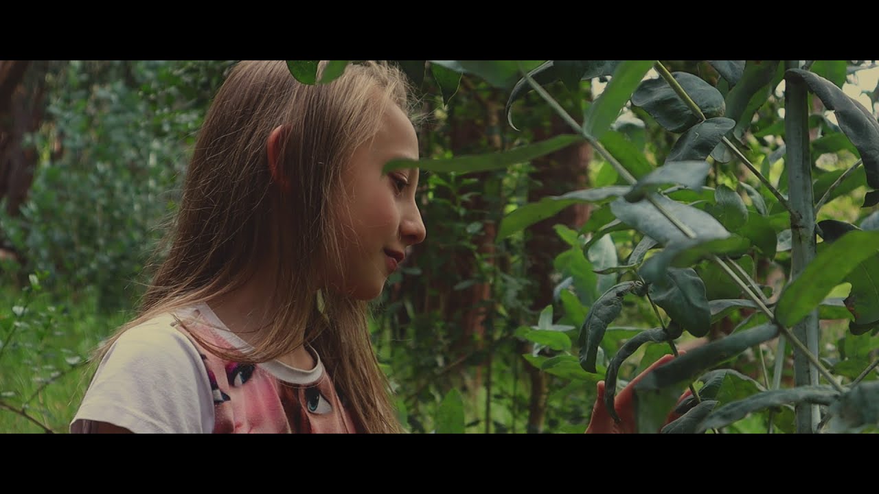 Soulterra - Verde Natural (Video Oficial) - YouTube