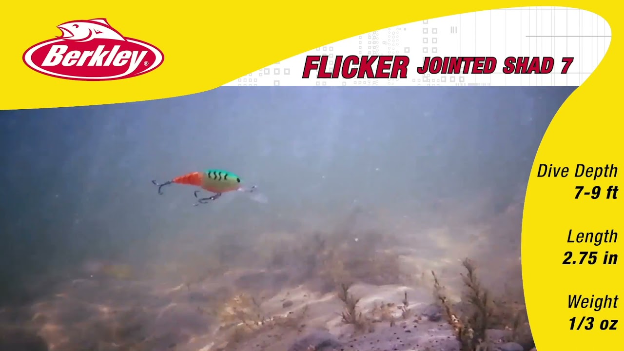 SCHEELS Exclusive Flicker Shad - YouTube