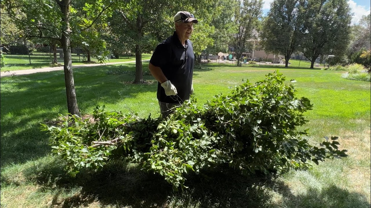 How to Bundle Branches and Limbs for Transport- DIY - YouTube