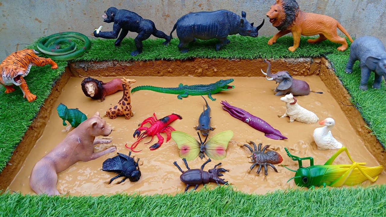 Insects, Sea & Wild Animals Stuck in Mud! Watch Them Get Washed Clean ...