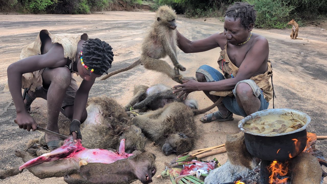 Eating Baboon After Successful Hunt Hadzabe tribe Bushmen. - YouTube