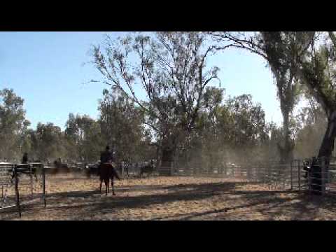 Barmah Muster - 2012 - YouTube