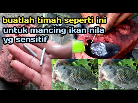 CARA MEMBUAT TIMAH PANCING IKAN NILA//COCOK UNTUK IKAN NILA YG SENSITIF ...
