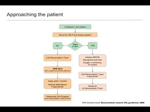 Clinical examination - introduction - YouTube