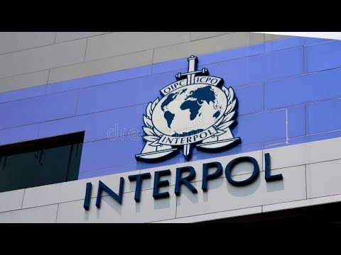 INTERPOL( CBI Pt 2) #du #4sem #2yr #2024 #exams #may #polminor # ...