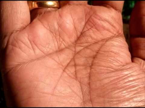 positive /productive hand/multiple sun lines/vishnu symbolpalmistry ...