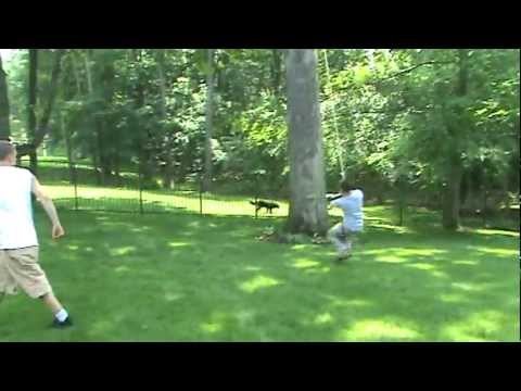 Giant Rope Swing | Jesse Jumps off Deck on tall tree swing - YouTube