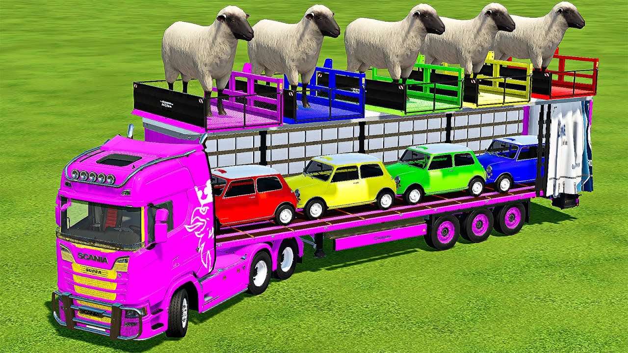 TRANSPORTING SHEEPS & MINI COOPER CARS WITH SCANIA TRUCK - Farming ...