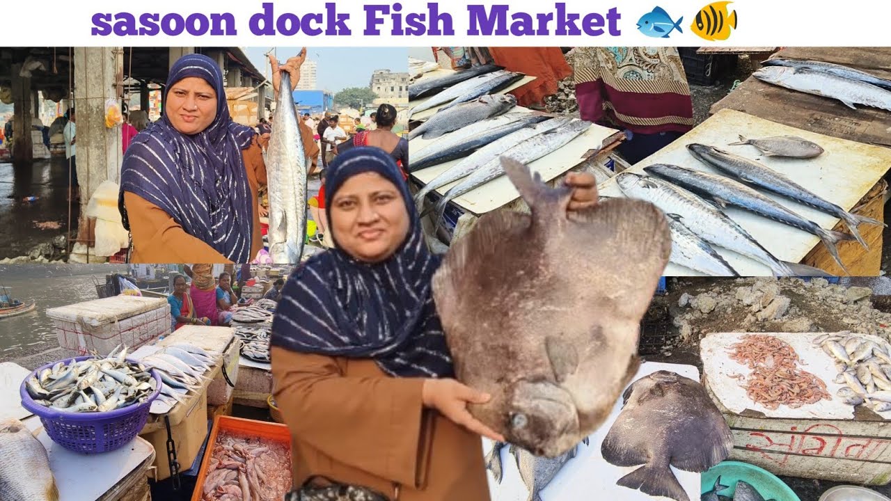 sasoon dock fish Market | colaba fish market | mumbai oldest fish ...