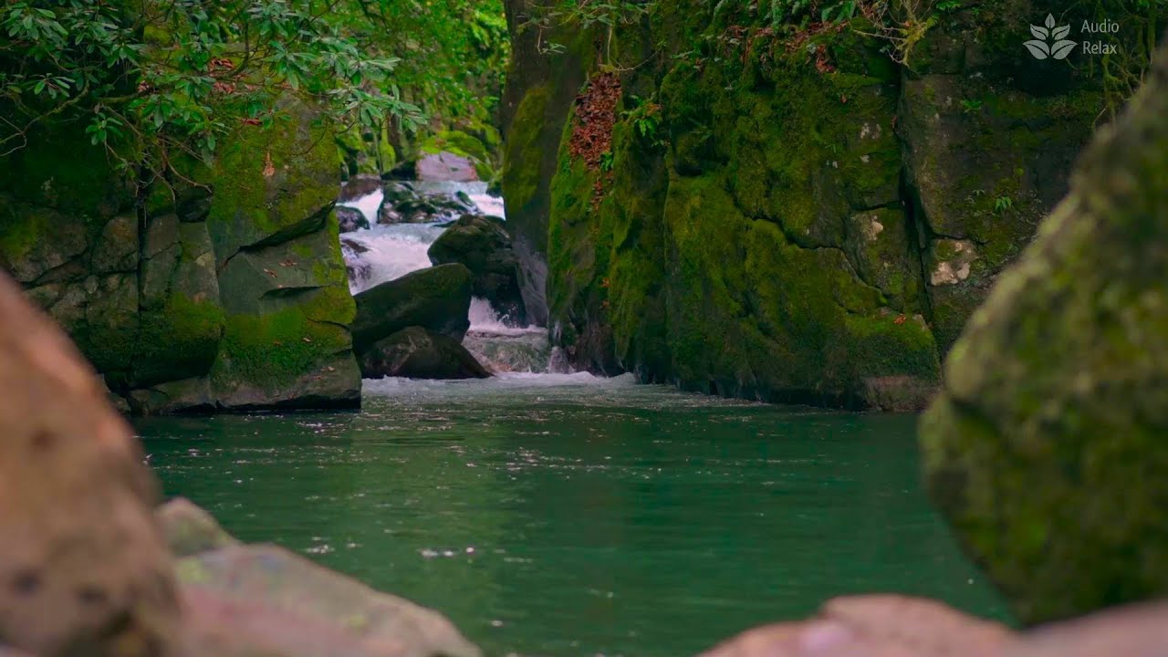 Relax with the Sounds of a Flowing Stream: 10 Hour Video - YouTube
