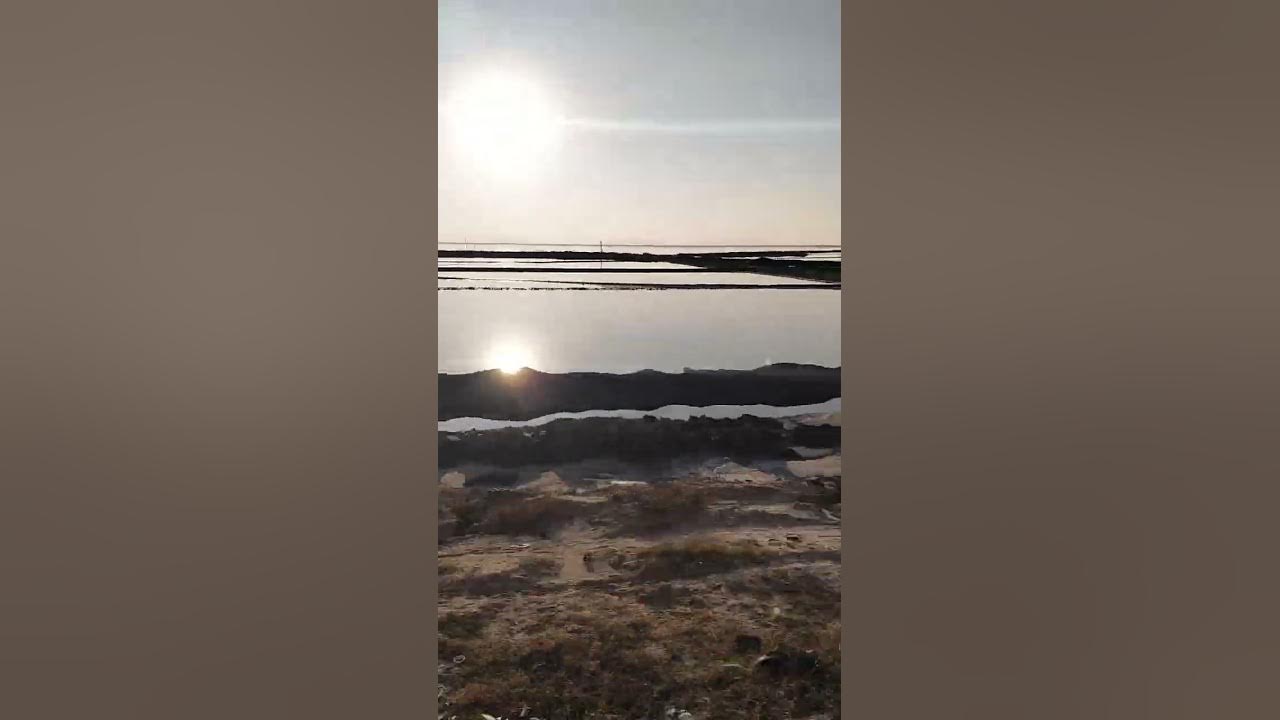 Sambhar lake Rajasthan - YouTube