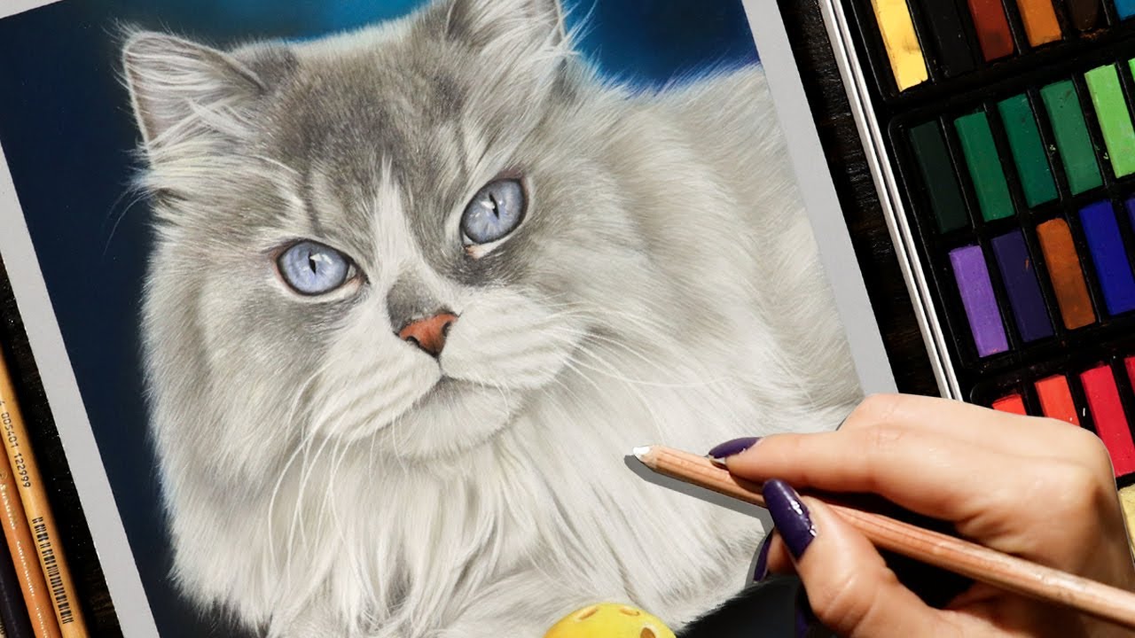 How To Draw White Fur With Pastels - YouTube