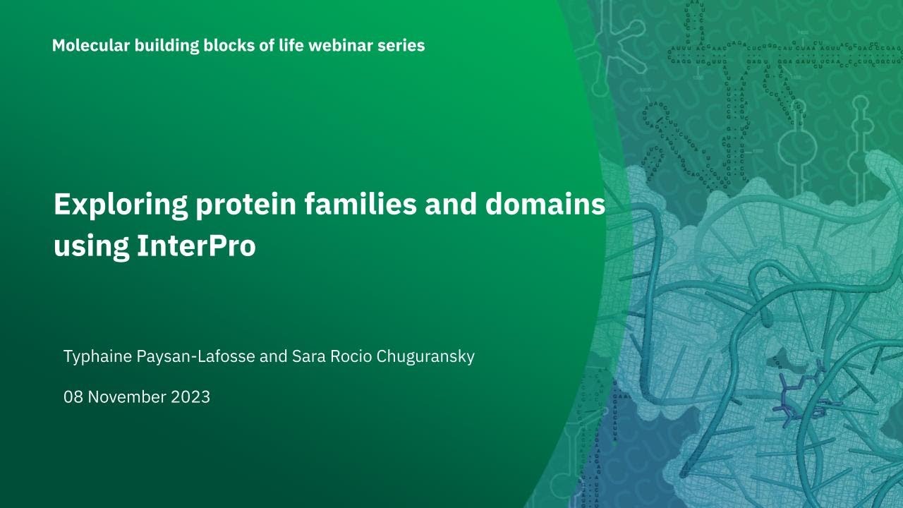 Exploring protein families and domains using InterPro - YouTube
