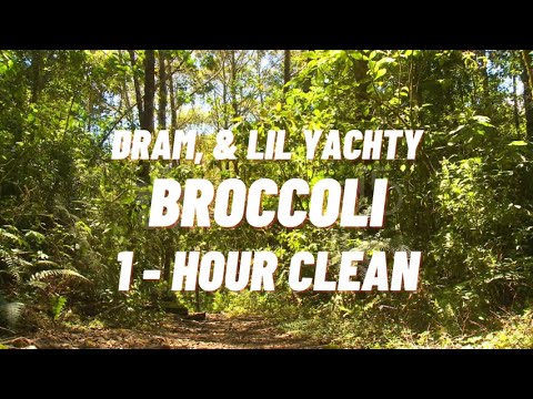 DRAM - Broccoli(ft.Lil Yatchy)[1 -HOUR LOOP] - YouTube